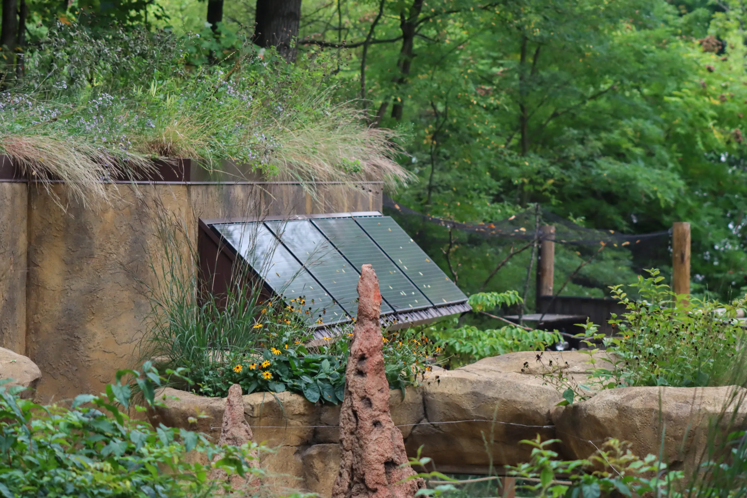 John Ball Zoo Meerkat Habitat Wins Certified Green Building Award in ...