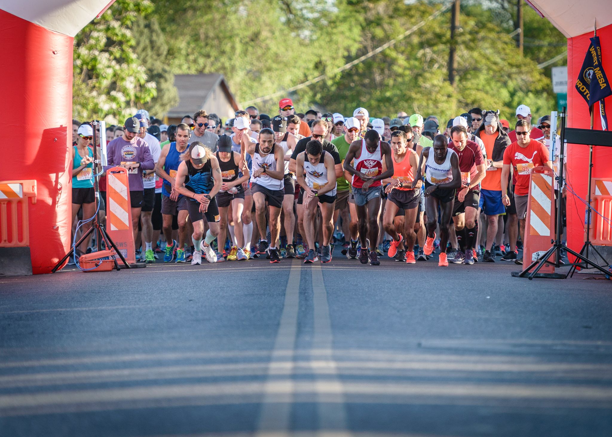 Run for the Zoo 2023: Roaring Back with Exciting Asia Expansion and ...